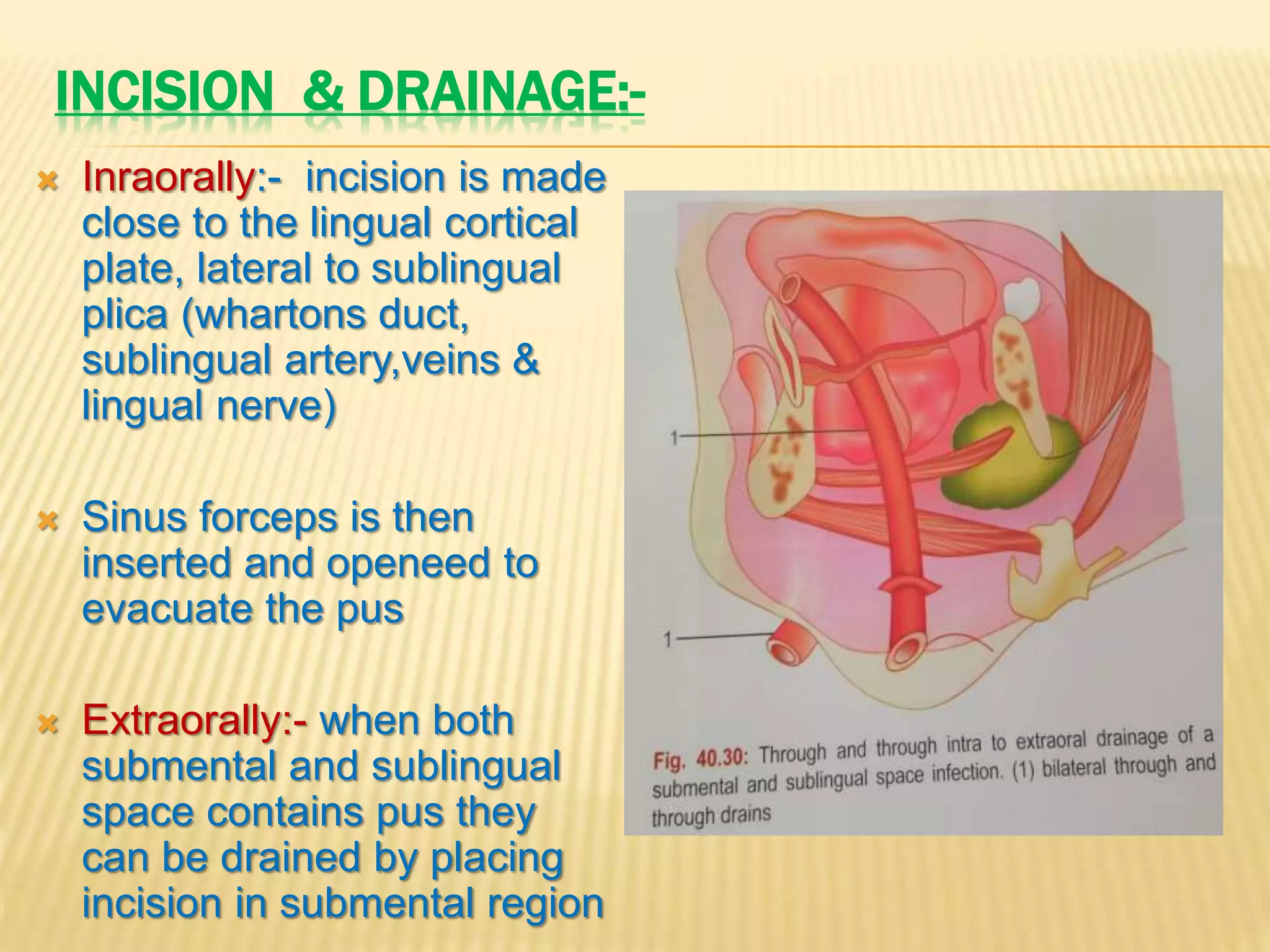 Primary spaces of space infection | PPTX