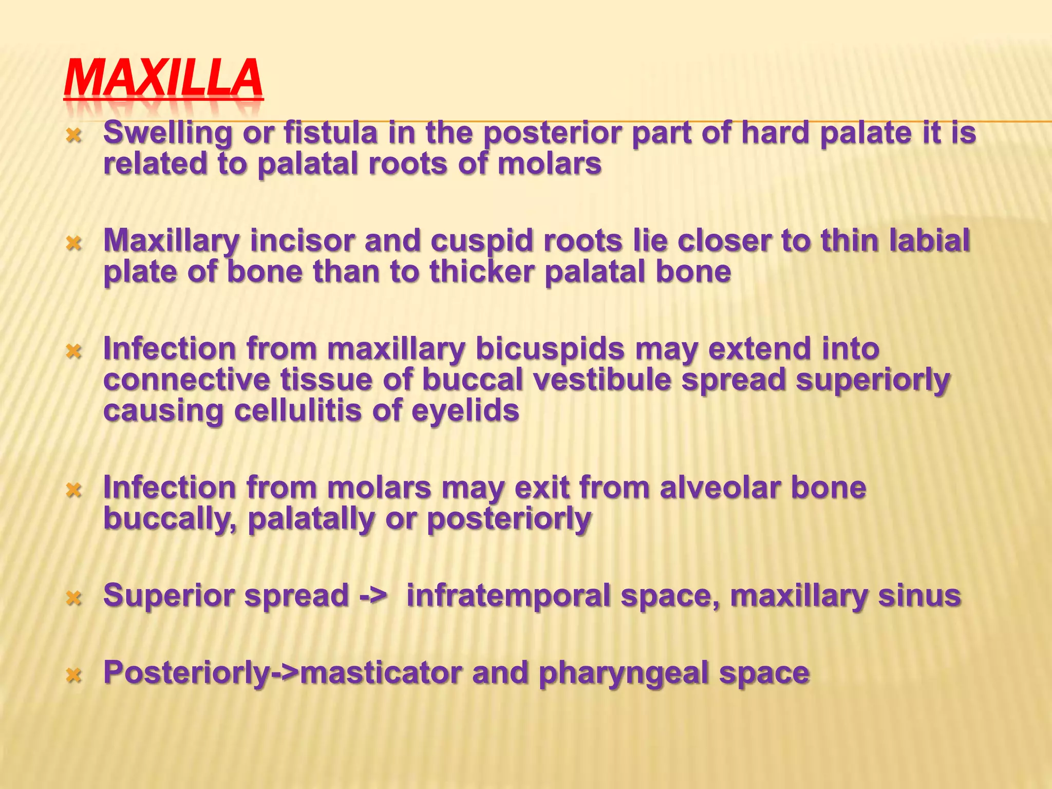 Primary spaces of space infection | PPTX