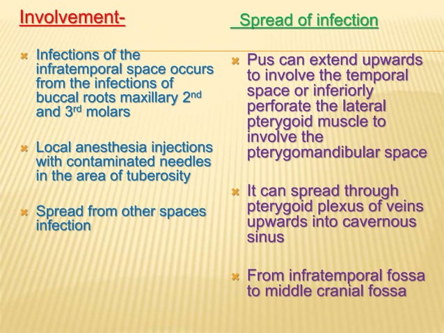 Primary spaces of space infection | PPTX | Ear, Nose and Throat ...