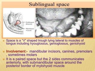 Sublingual Space