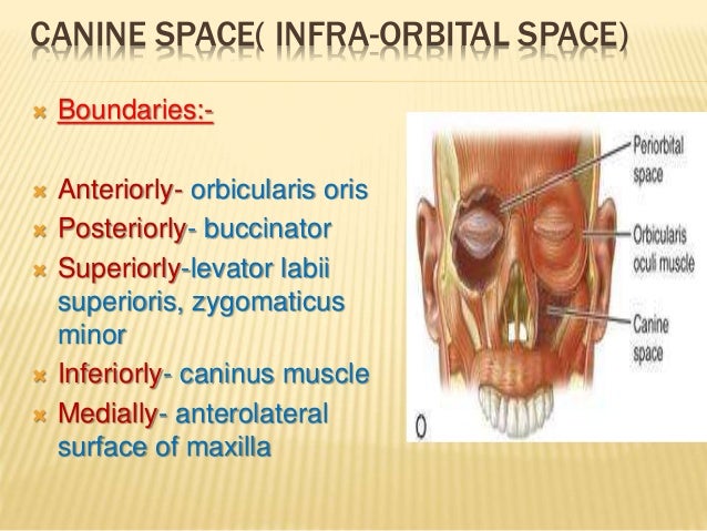 Primary spaces of space infection