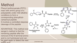 primary structure of proteins by ifrah.pptx