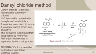 primary structure of proteins by ifrah.pptx