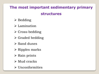 Primary structures of sedimentary and igneous rocks | PPTX