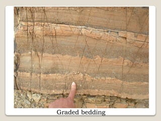 Graded Bedding Sedimentary Rocks