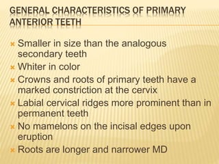Primary Teeth | PPTX
