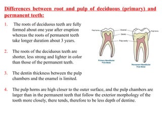 Primary teeth in Comparision to permanent dention .pptx | Oral care ...