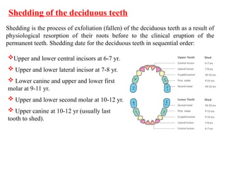 Primary teeth in Comparision to permanent dention .pptx | Oral care | Personal Care