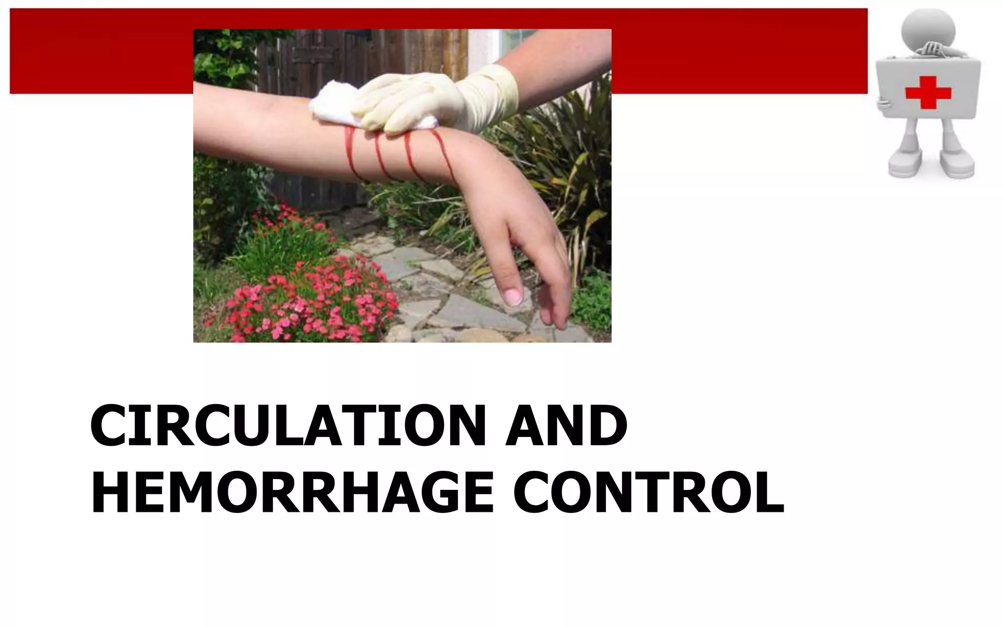 Primary Trauma Survey Pptx