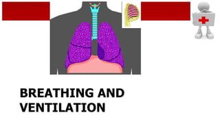 Primary trauma survey | PPTX