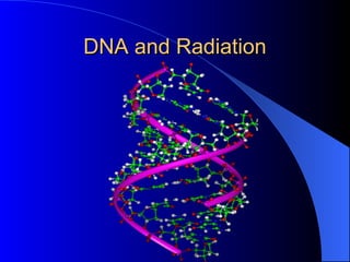 primary types of radiation Ionizing h.ppt