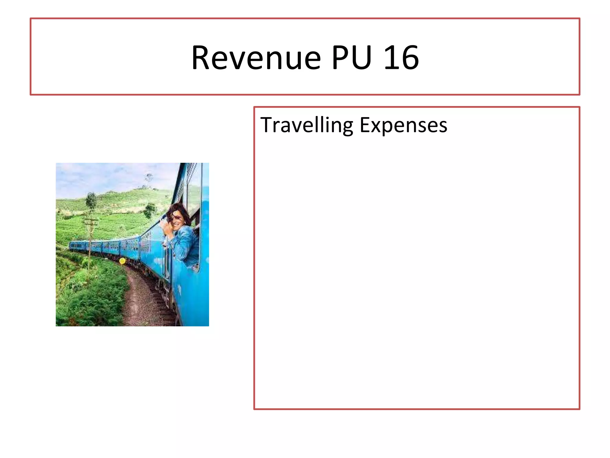 Primary Units (Revenue).pptx | Business and Finance