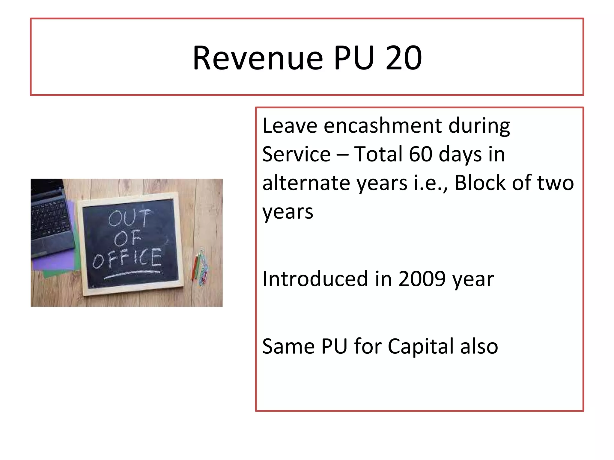 Primary Units (Revenue).pptx | Business and Finance