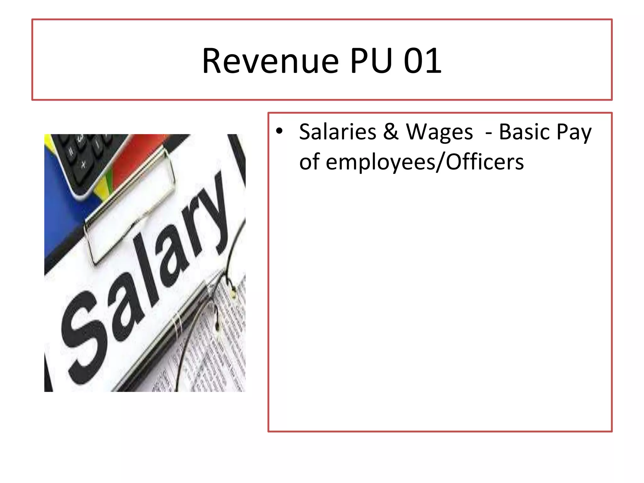 Primary Units (Revenue).pptx | Business and Finance