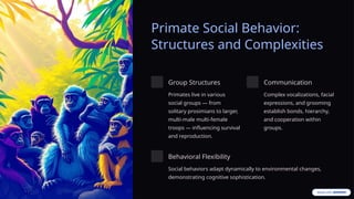 Primate-Evolution-Radiation-Classification-and-Behavior.pptx