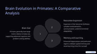 Primate-Evolution-Radiation-Classification-and-Behavior.pptx