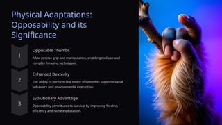 Primate-Evolution-Radiation-Classification-and-Behavior.pptx