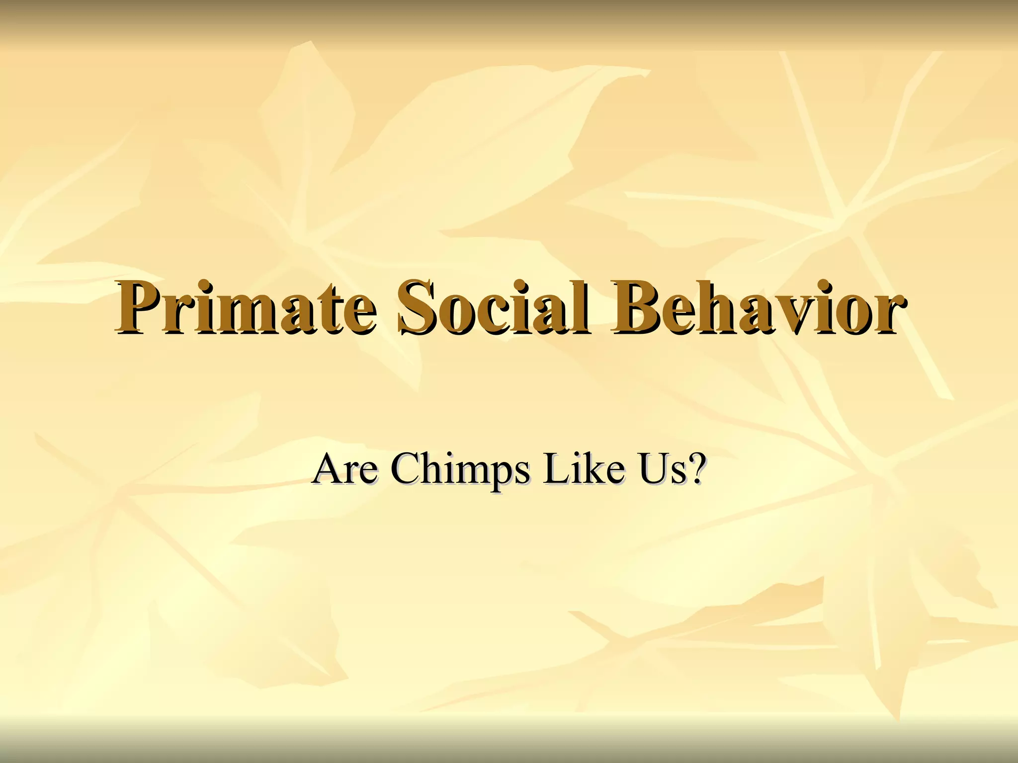 Primate Social Behavior | PPT