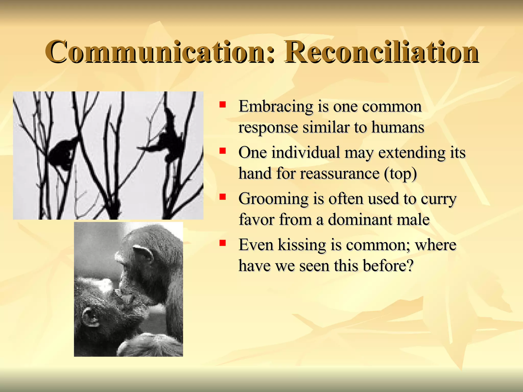 Primate Social Behavior | PPT