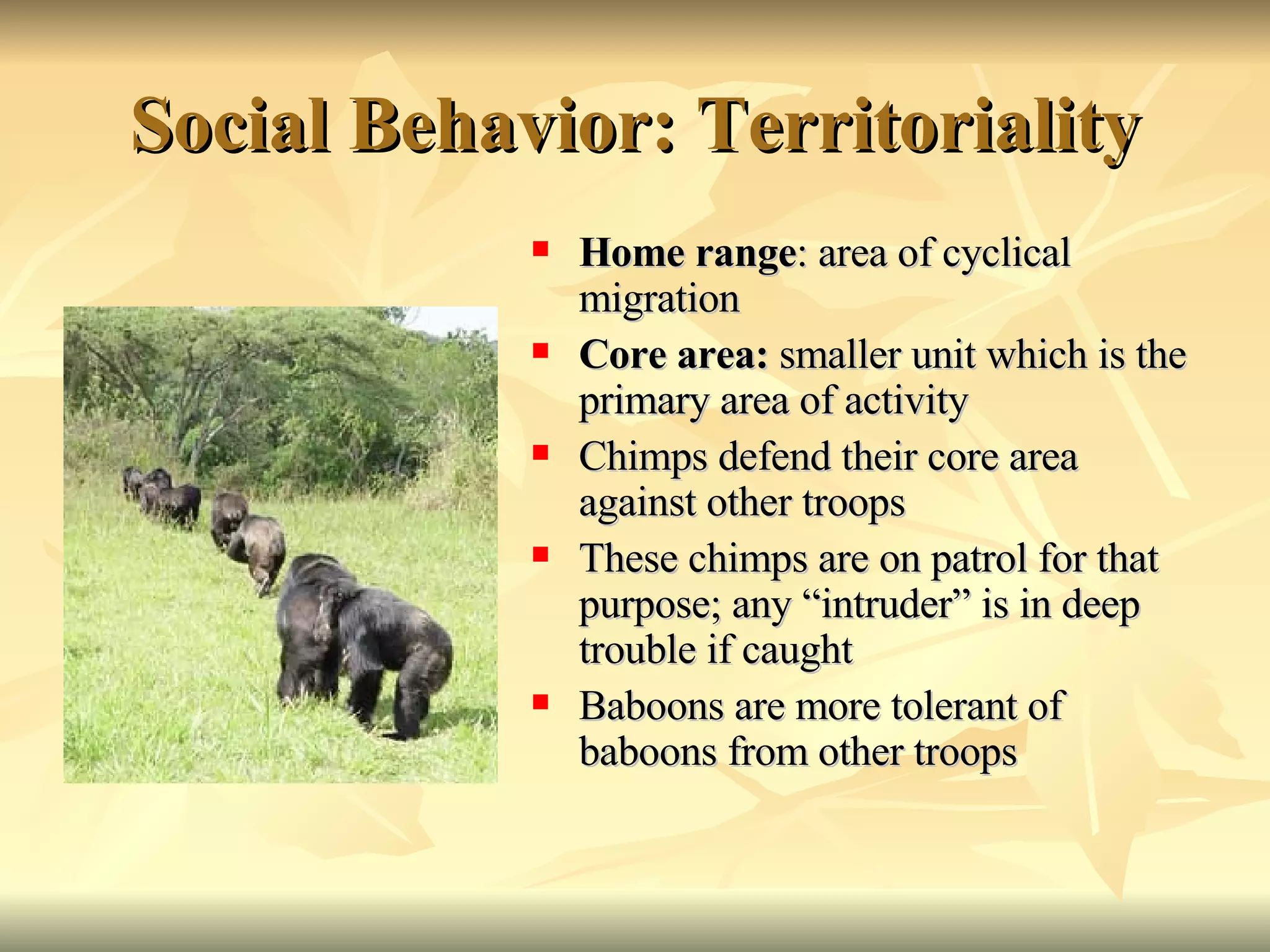 Primate Social Behavior | PPT