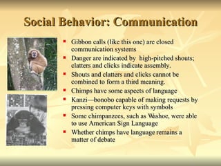 Primate Social Behavior | PPT