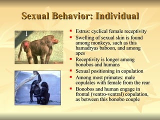 Primate Social Behavior | PPT