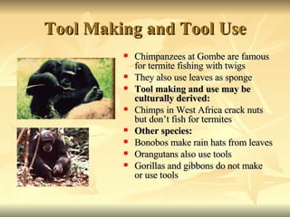 Primate Social Behavior | PPT