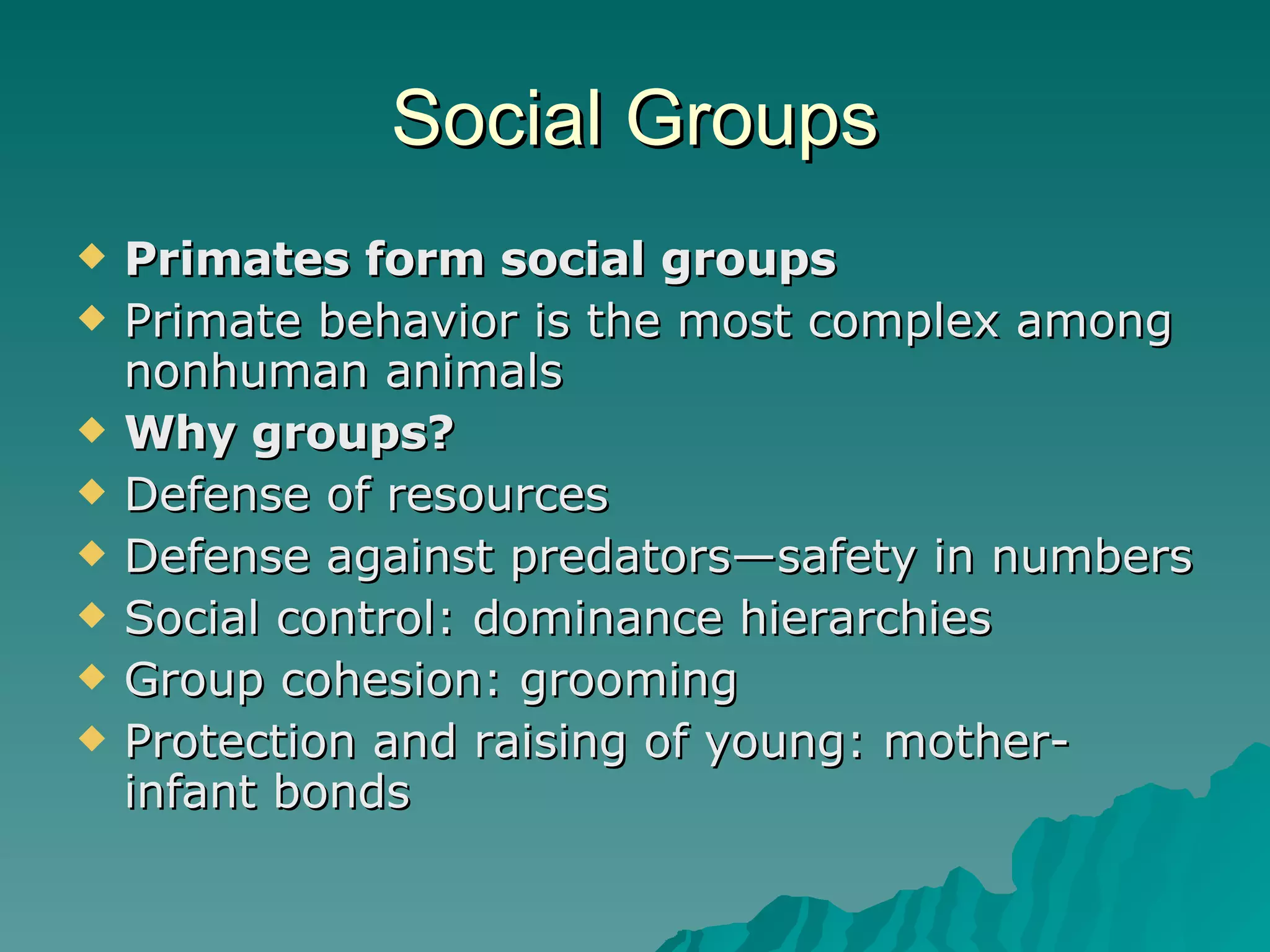 Primate Social Behavior | PPT