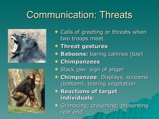 Primate Social Behavior | PPT