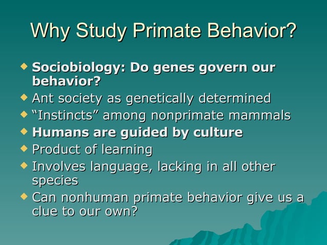 Primate Social Behavior | PPT
