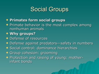 Primate Social Behavior | PPT