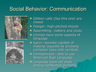 Primate Social Behavior | PPT