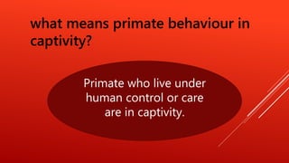 Primate behaviour in captivity | PPTX
