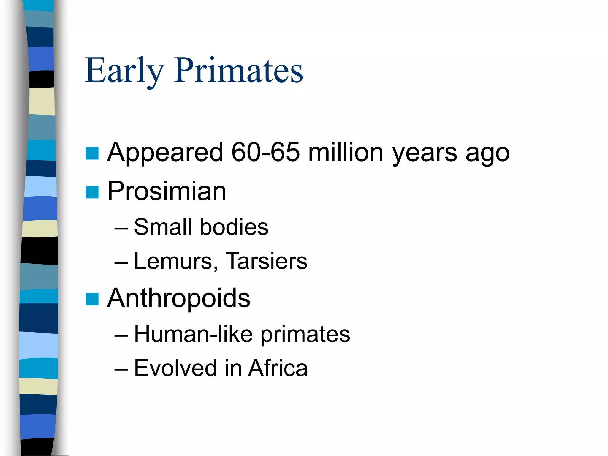 Primate Evolution | PPT
