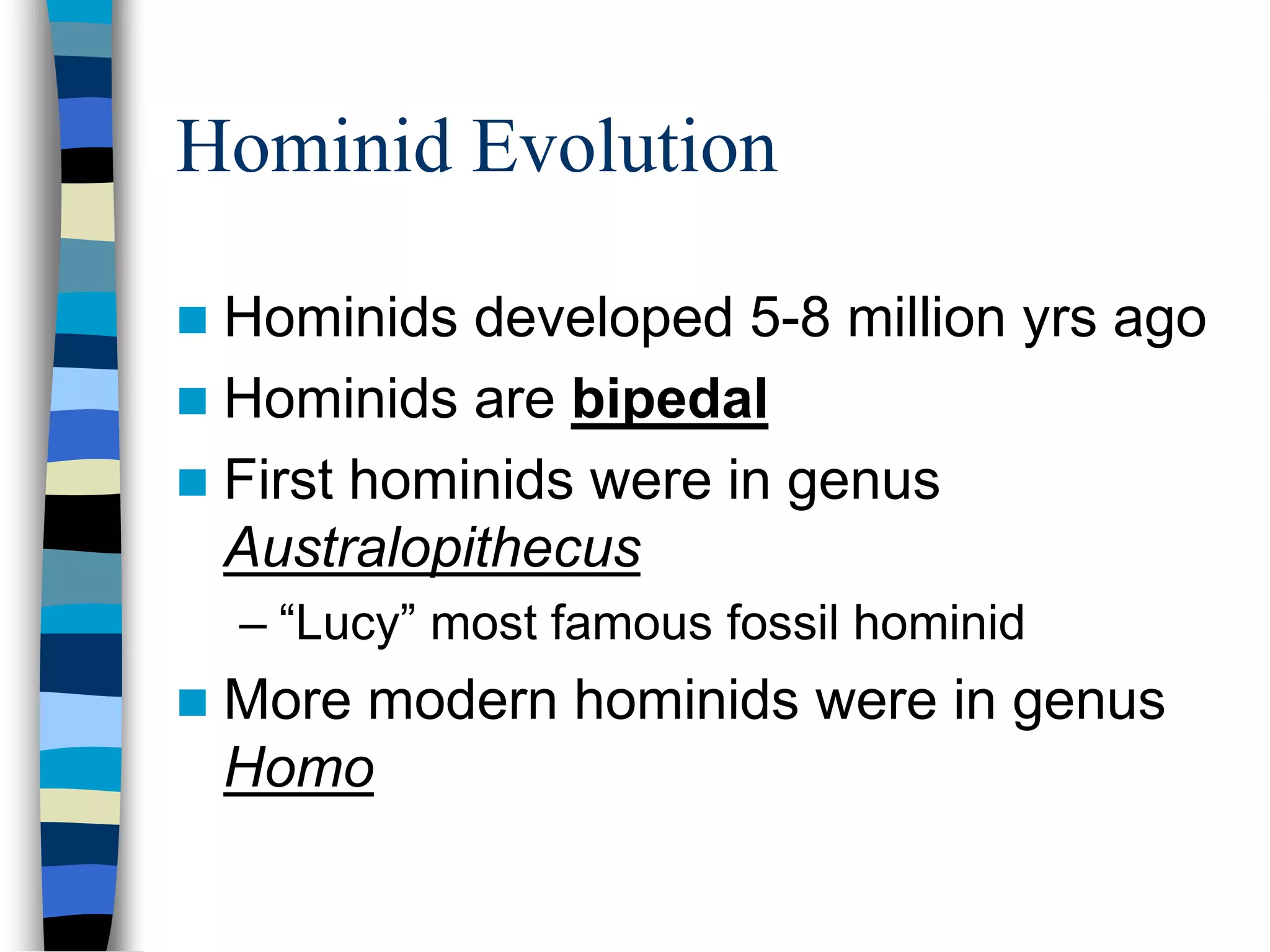 Primate Evolution | PPT