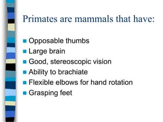 Primate Evolution | PPT