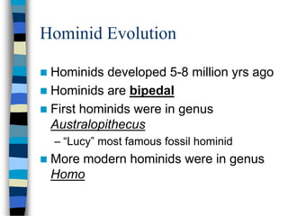 Primate Evolution | PPT