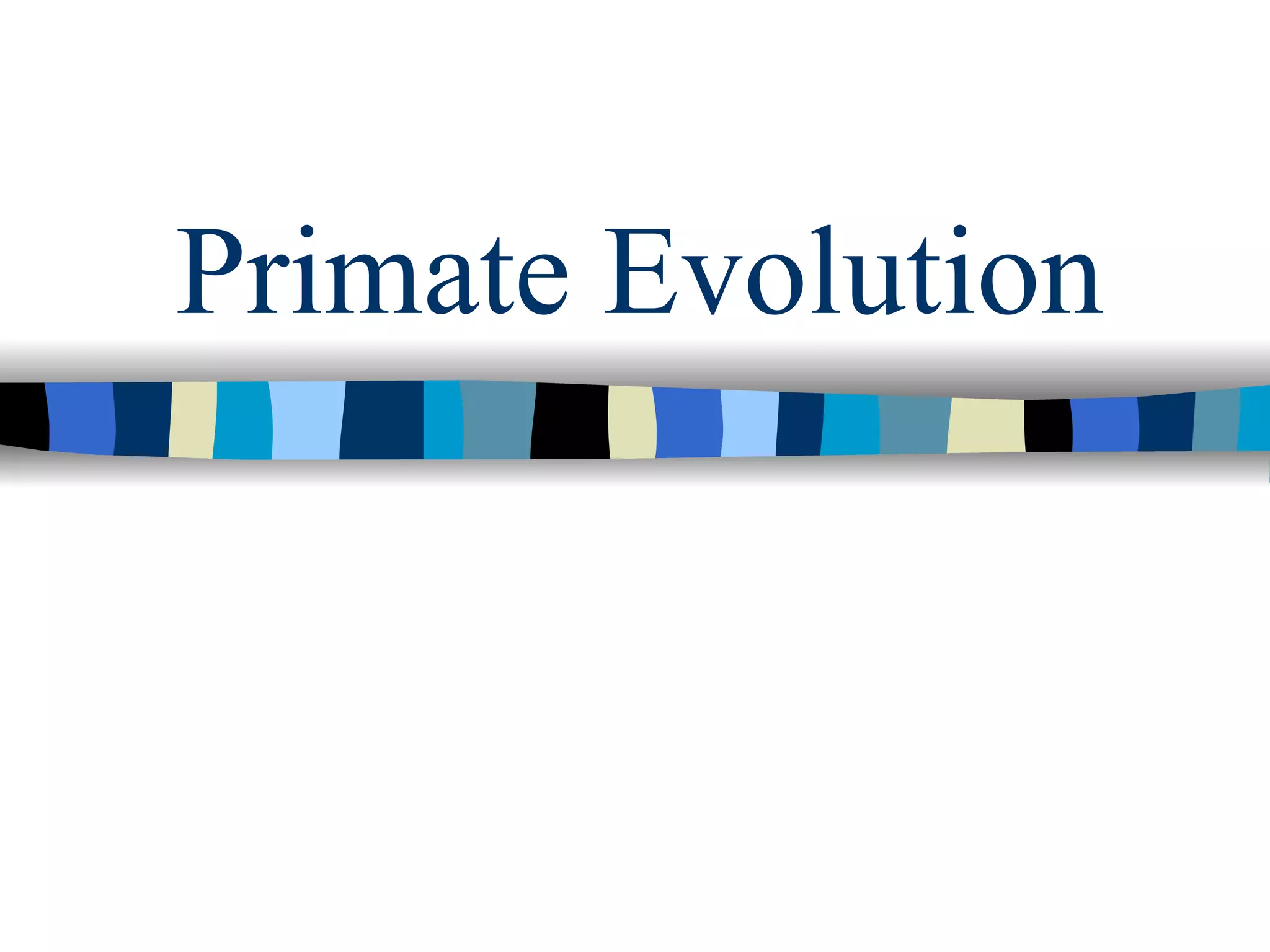 Primate Evolution | PPT