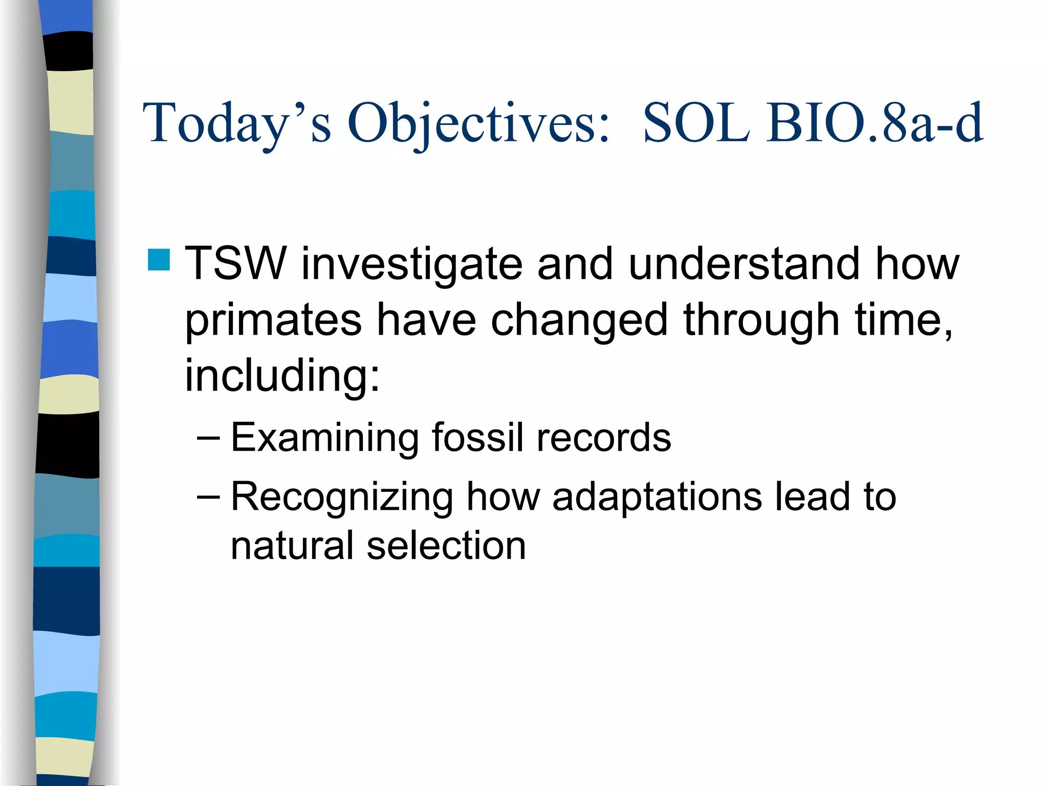 Primate Evolution | PPT