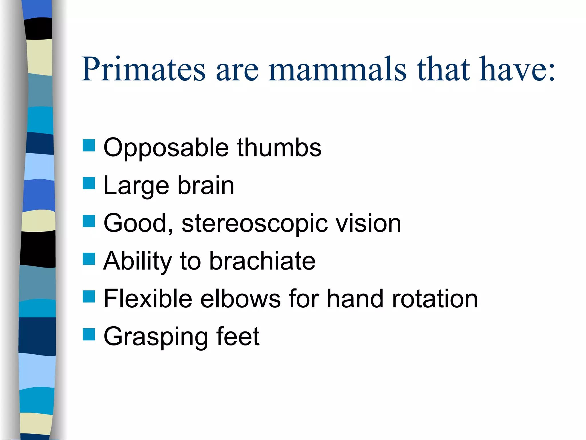 Primate Evolution | PPT