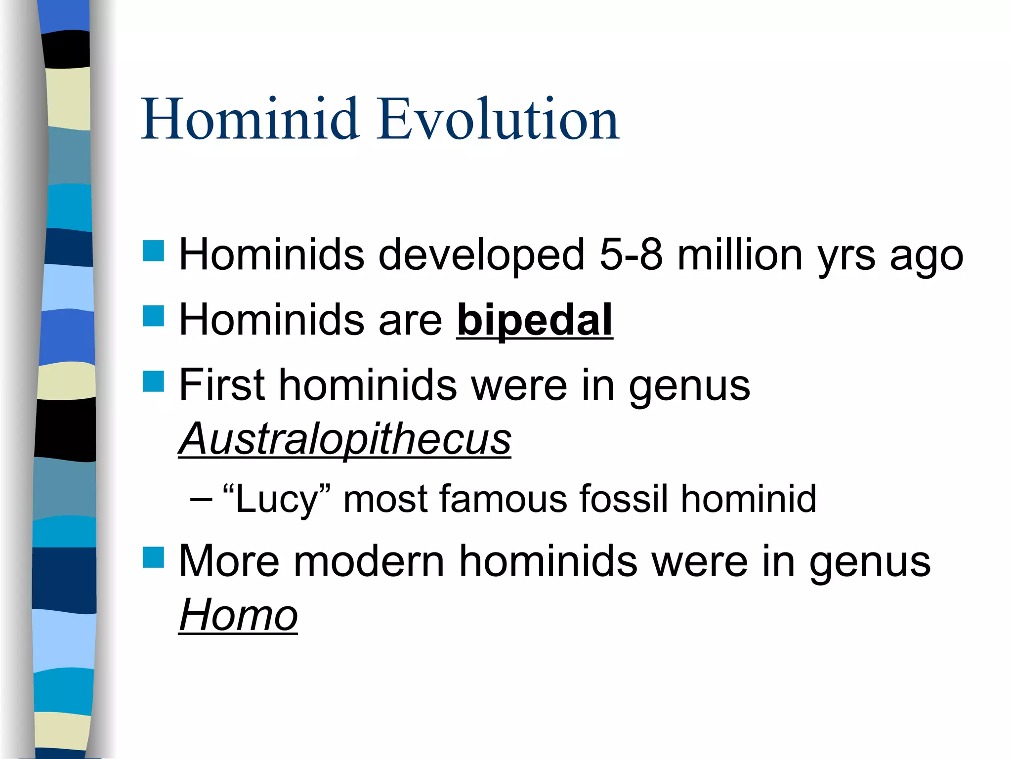 Primate Evolution | PPT