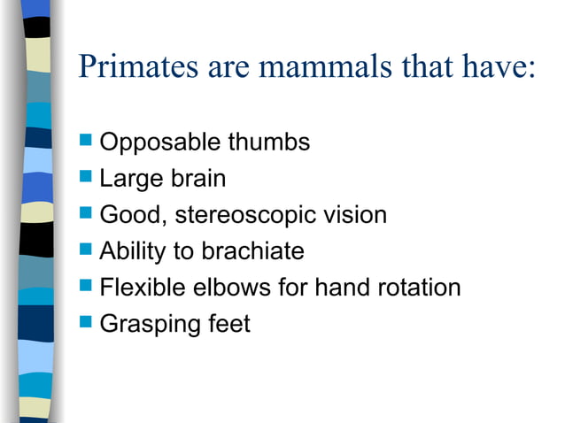 Primate Evolution | PPT