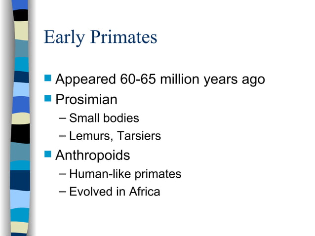 Primate Evolution | PPT