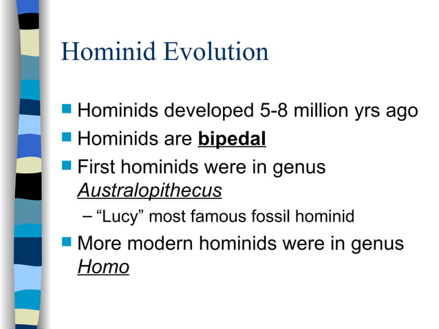 Primate Evolution | PPT