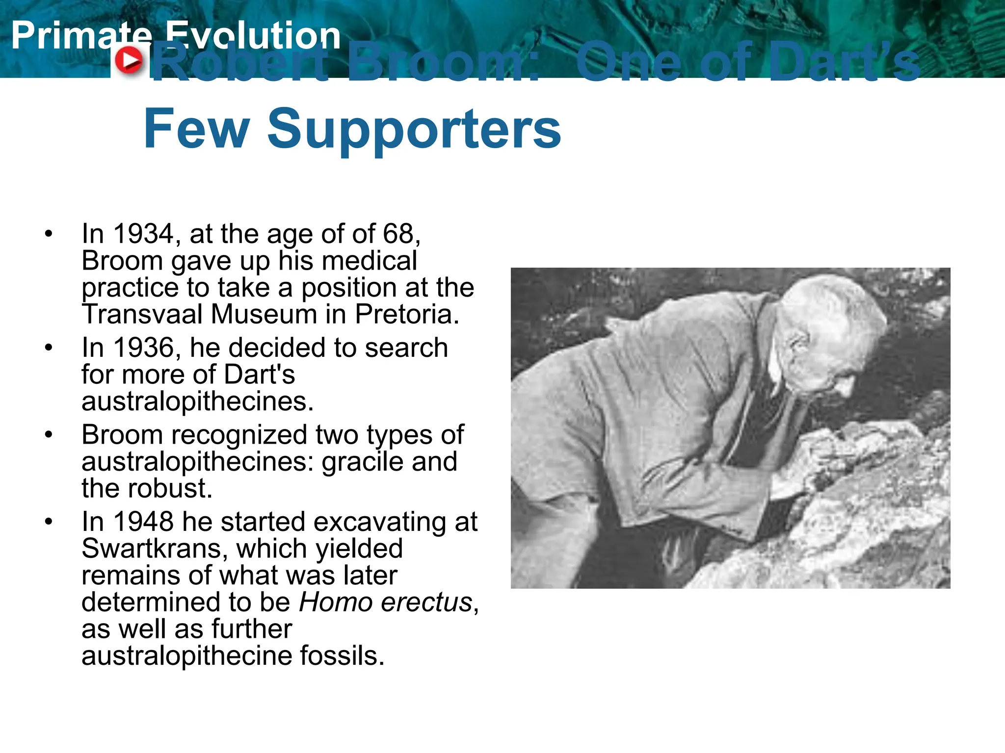 Primate Evolution.ppt