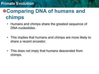 Primate Evolution.ppt