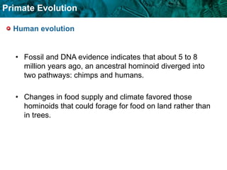 Primate Evolution.ppt
