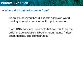 Primate Evolution.ppt