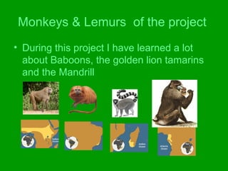 Primate project | PPT