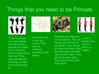 Primate project | PPT